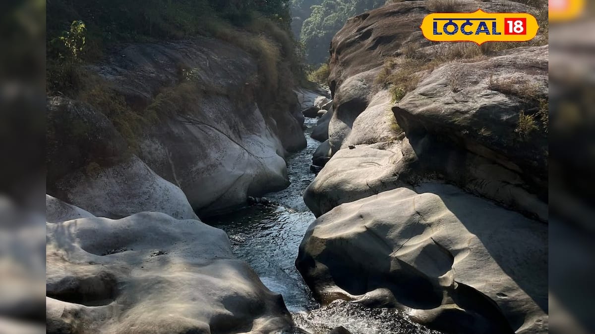 Kalimpong: প্লাস্টিক-তামাক জাতীয় দ্রব্য ব্যবহার নিষিদ্ধ! ডুয়ার্স ...