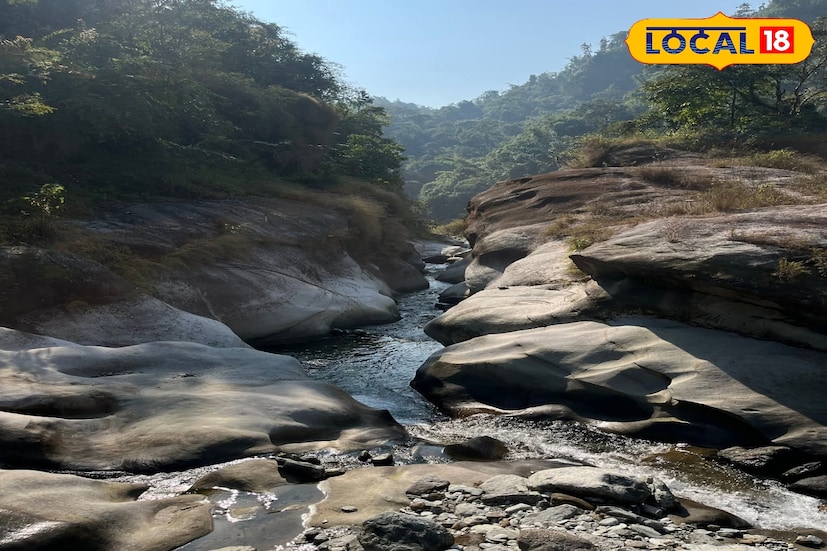 Kalimpong: প্লাস্টিক-তামাক জাতীয় দ্রব্য ব্যবহার নিষিদ্ধ! ডুয়ার্স ...