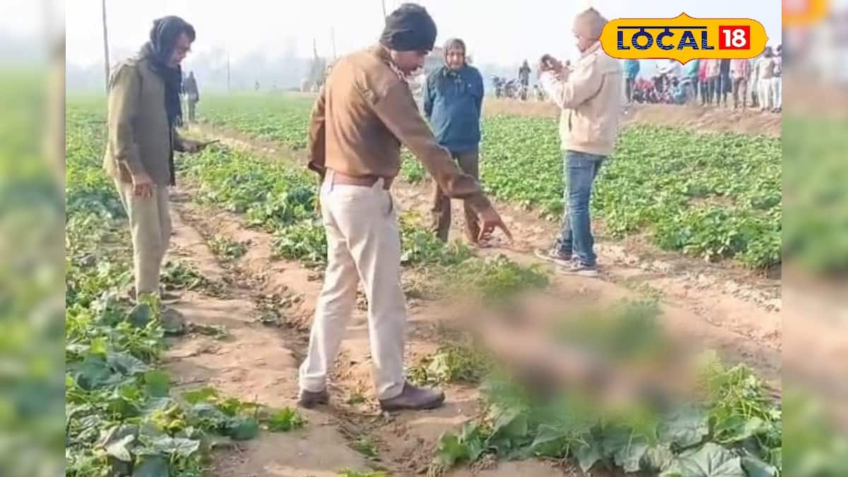 East Bardhaman News: শসা ক্ষেত থেকে উদ্ধার যুবকের অর্ধনগ্ন দেহ ...