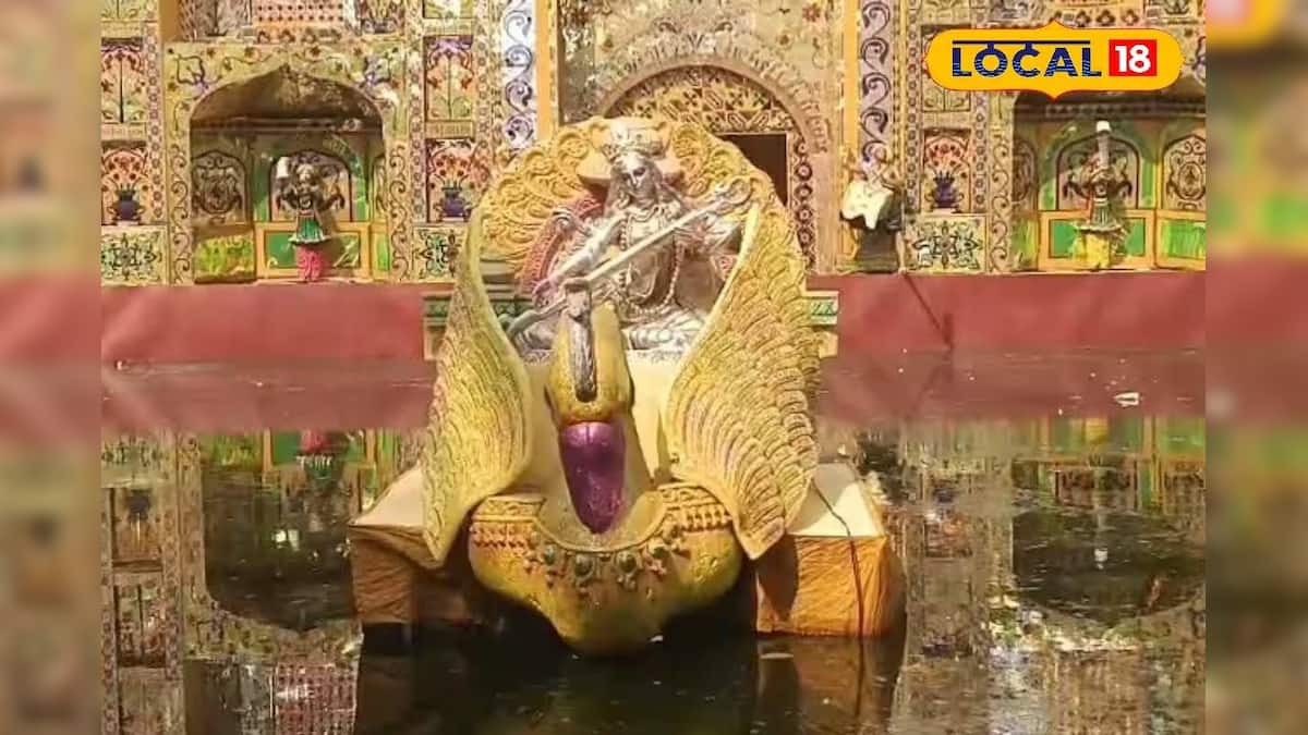 Saraswati Puja 2026: মণ্ডপের সামনে এলেই বেরিয়ে আসছে প্রতিমা! হাওড়ার ...