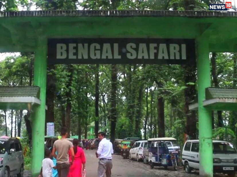 Siliguri Bengal Safari: কনকনে ঠান্ডায় বেঙ্গল সাফারি পার্কে রাজকীয় ...