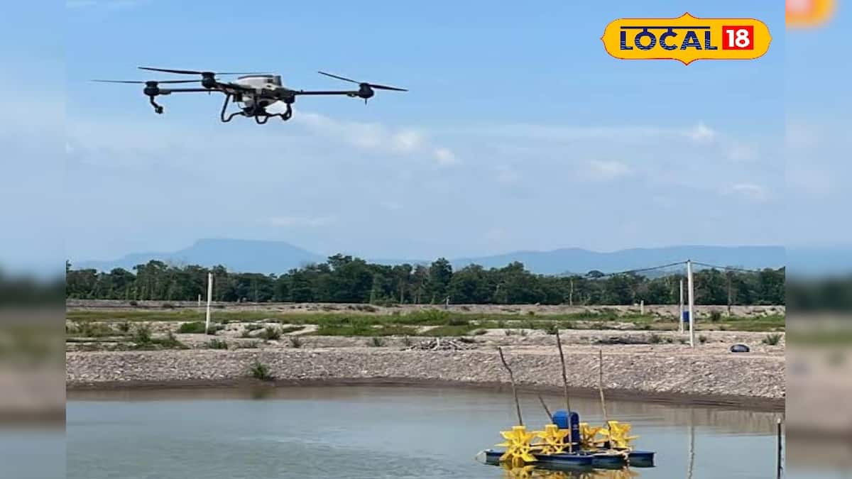 Sundarbans News: সুন্দরবনের ভেড়ি থেকে ড্রোনে চেপে মাছ আসবে শহরের ...