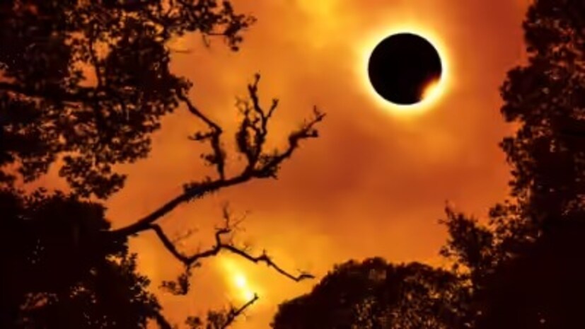 Solar & Lunar Eclipse Dates 2026: আসছে এ বছরের প্রথম সূর্যগ্রহণ! দেখা ...
