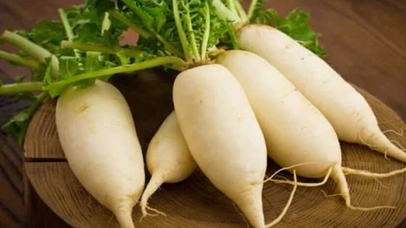 Radish or Mulo in Magh Month: বহু উপকারিতা সত্ত্বেও মাঘ মাসে মুলো খেতে ...