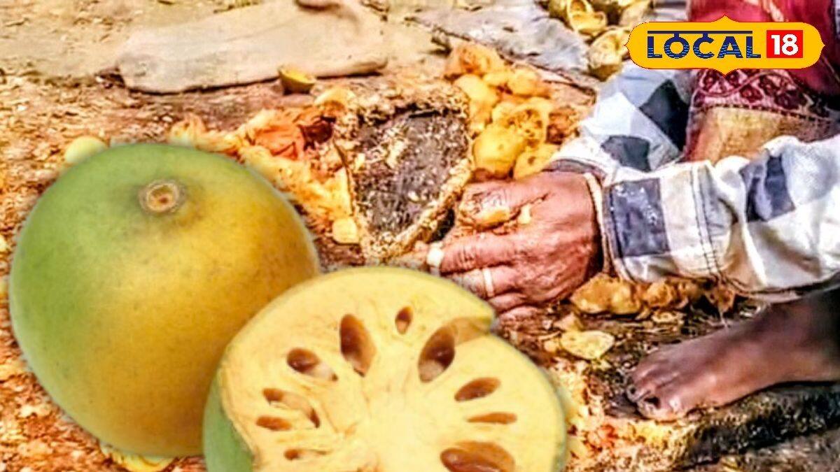 Bael Fruit Business: ফল নয় যেন ‘সোনা’! বাঁকুড়ার বেলের দিওয়ানা কলকাতা ...