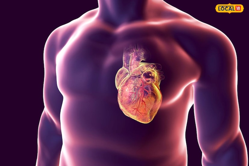 Heart Attack at Night: শীতকালে দিনের এই তিন সময় খুব সাবধান! সতর্ক না হলেই হার্ট অ্যাটাকের শিকার ...