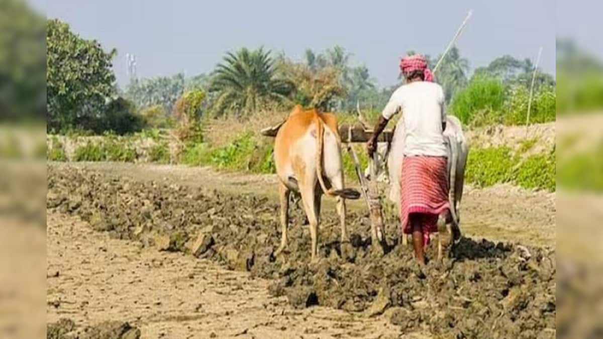 PM Kisan: আপনার নাম PM Kisan লিস্টে আছে তো? মোবাইল থেকেই মিনিটে চেক ...