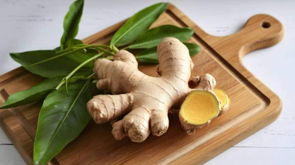 Ginger Side Effects: গলস্টোন, রক্তচাপ...আর কোন কোন রোগে আদা বিপজ্জনক ...