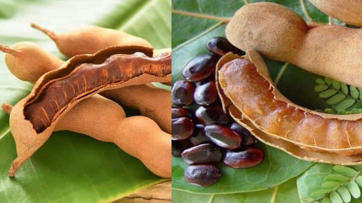 Tamarind Side Effects: তেঁতুল খেতে ভালবাসেন? দাঁতের বারোটা বাজবে ...