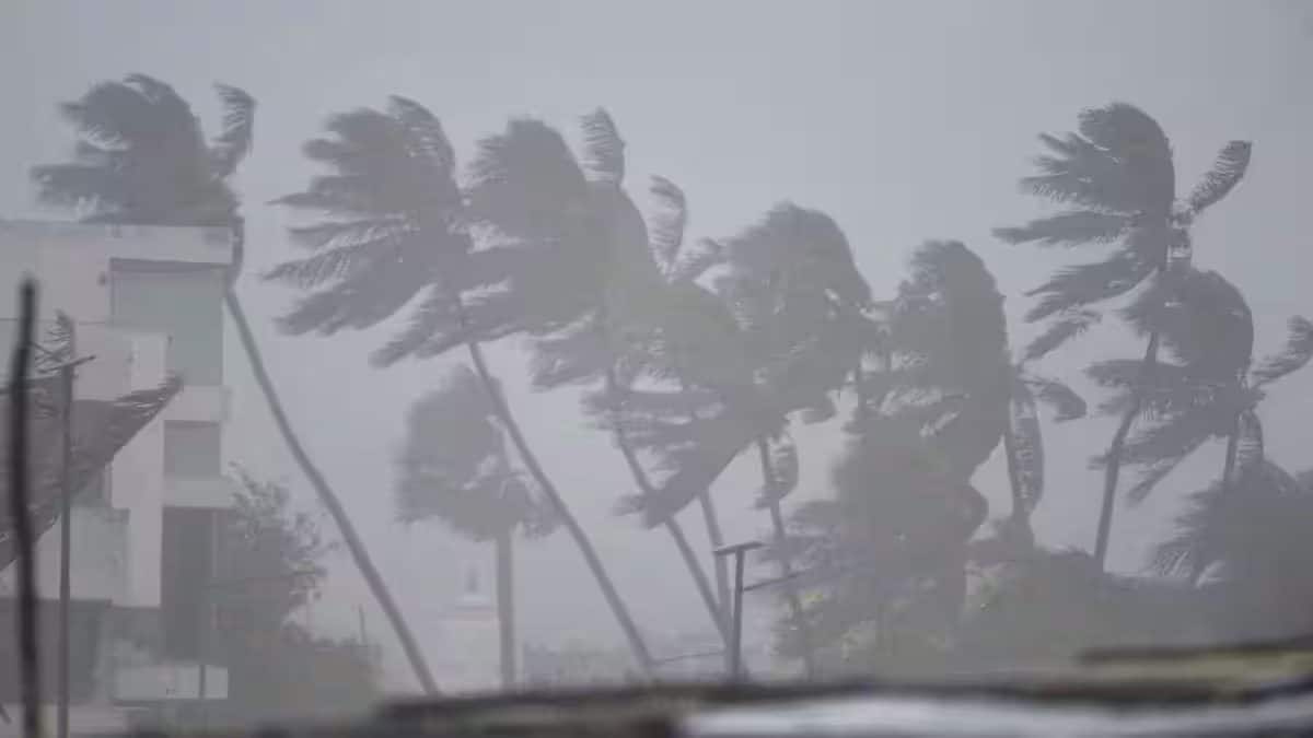 IMD Weather Update: আগামী তিনদিন...! ভারী বৃষ্টির হুঁশিয়ারি ৮ রাজ্যে ...