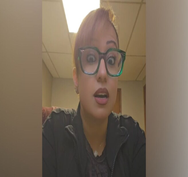 Indian Origin YouTuber Nancy Grewal ভারতীয় বংশোদ্ভূত জনপ্রিয় ইউটিউবার ...