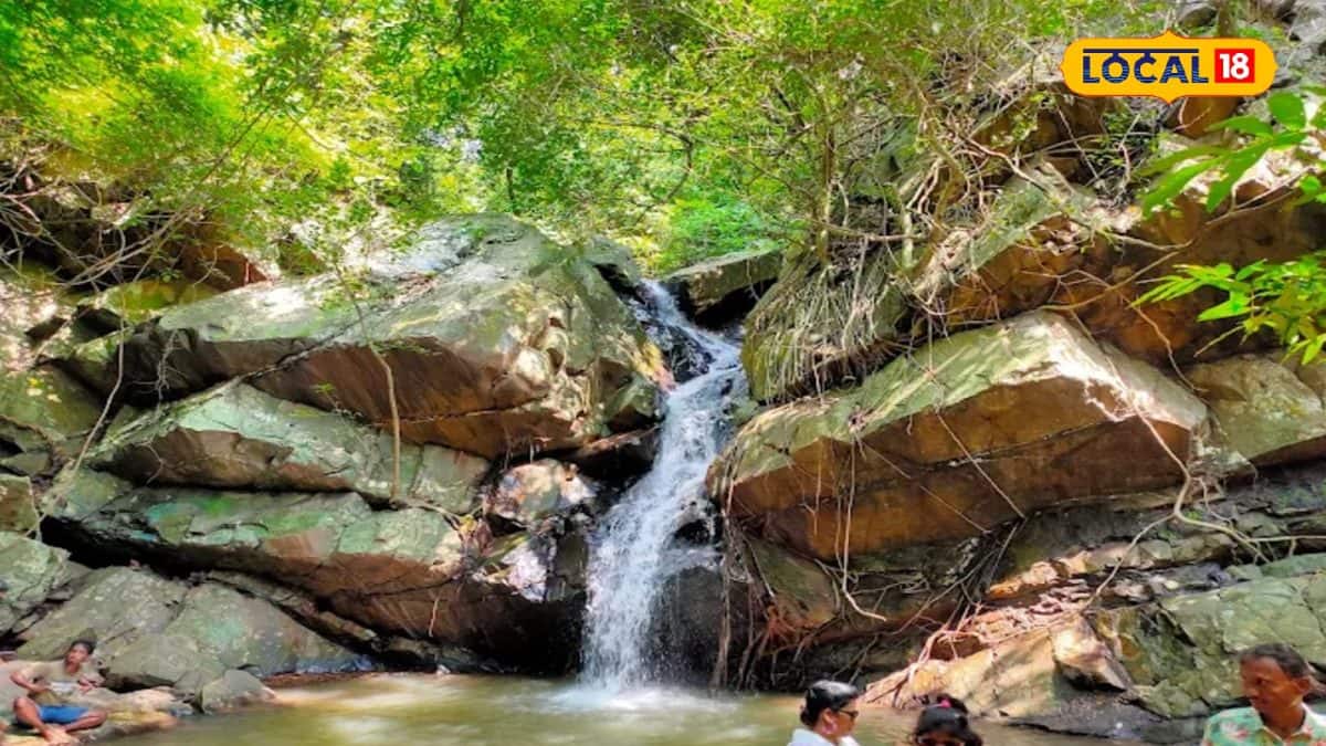 Jhargram Tourism: জঙ্গলের অন্তরালে পাহাড়ের গা বেয়ে ঝরনা! প্রকৃতির ...