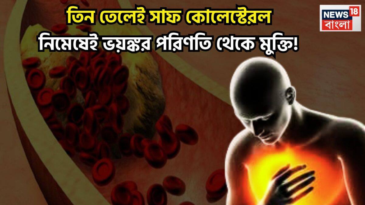 High Cholesterol Control Tips: রান্নার তিন তেলেই ধুয়ে মুছে সাফ ...