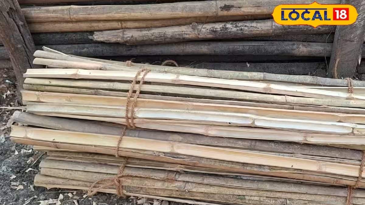Money Making Tips: ভোটের বাজারে আয়ের নয়া দিশা! শিলিগুড়িতে পতাকার ...