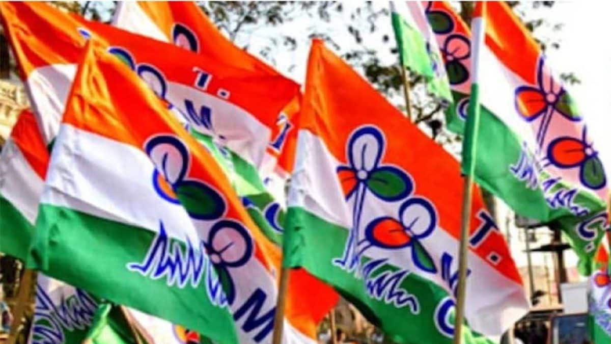 Bengal Election: অভিষেকের হাত ধরে তৃণমূলে বিজেপির জেলা নেতা! গেরুয়া ...