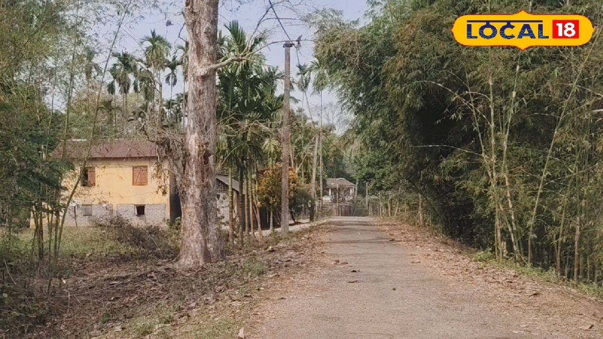 Jalpaiguri News: হাতি-বাইসনের সঙ্গেই ঘরকন্না, দীর্ঘদিন ডুয়ার্সের এই ...