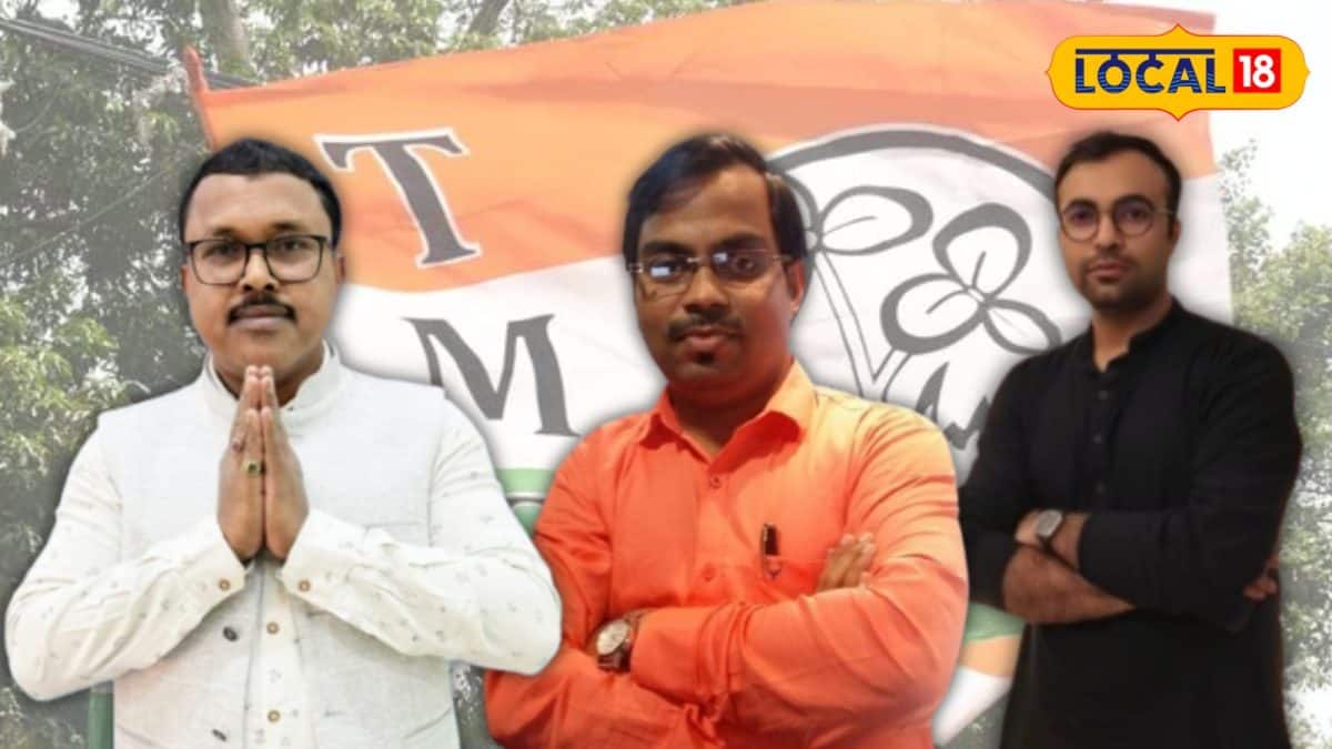 WB Assembly Election 2026: রানাঘাটে তৃণমূলের ‘ডাক্তার দাওয়াই’! বিজেপি ...