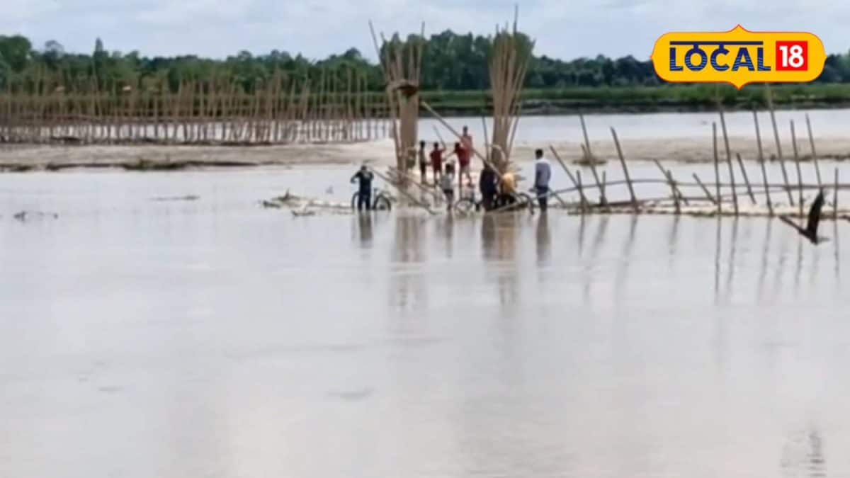 Cooch Behar News: লাগাতার বৃষ্টিতে সর্বনাশ! জলের তোড়ে ভাঙল কোচবিহারের ...
