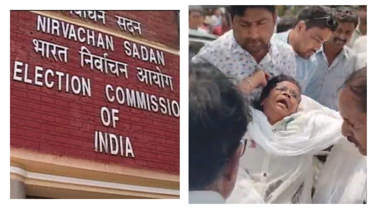 TMC MP Attack Update: তৃণমূলের অন্তর্দ্বন্দ্বেই সাংসদ মিতালি বাগের ...