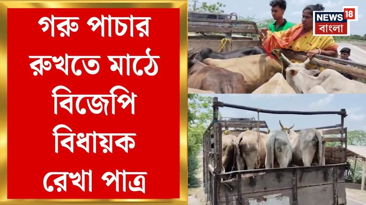 Rekha Patra | গরু পাচার রুখতে ফেরিঘাটে BJP বিধায়ক | Cow Smuggling ...