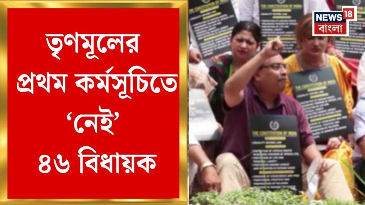 TMC News | প্রথম কর্মসূচিতে ‘নেই’ ৪৬ বিধায়ক, তৃণমূলে ‘গৃহদাহ’ | Bangla ...