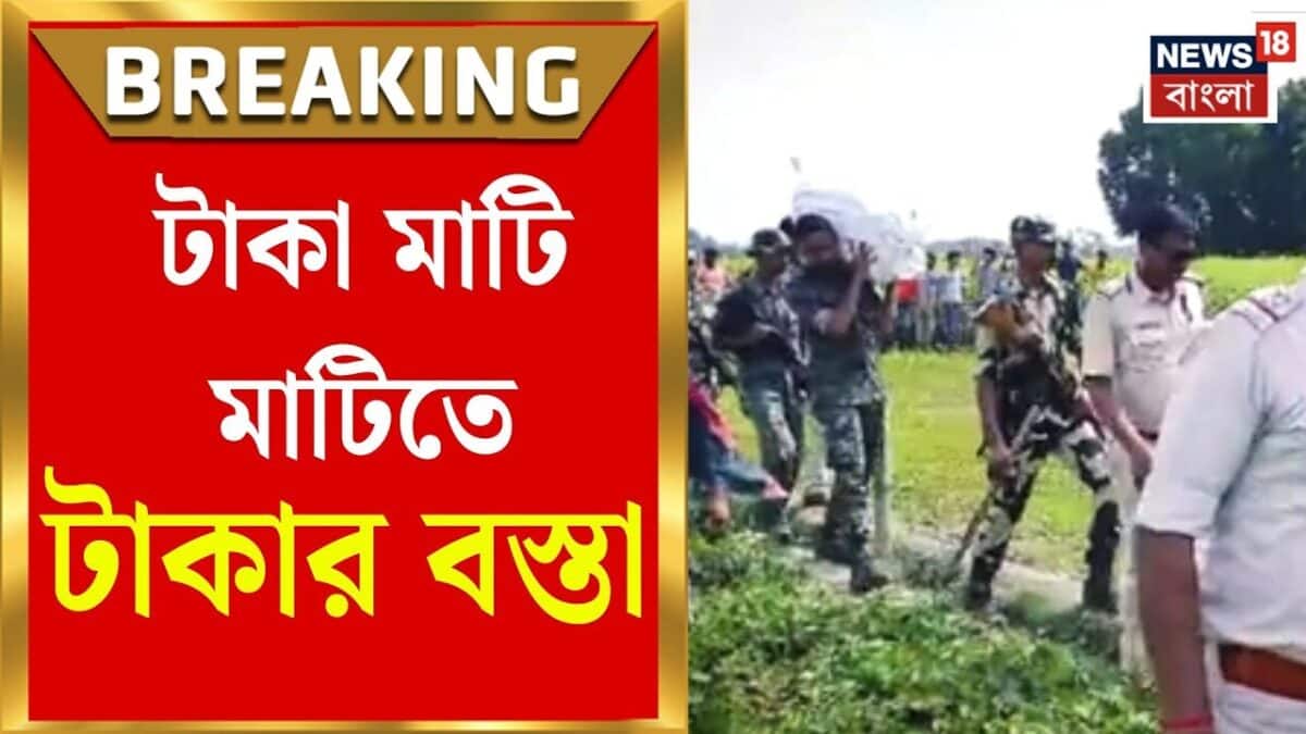 Baduria TMC News | বাদুড়িয়ায় পাটখেতে জমি খুঁড়ে বস্তা বস্তা টাকা ...