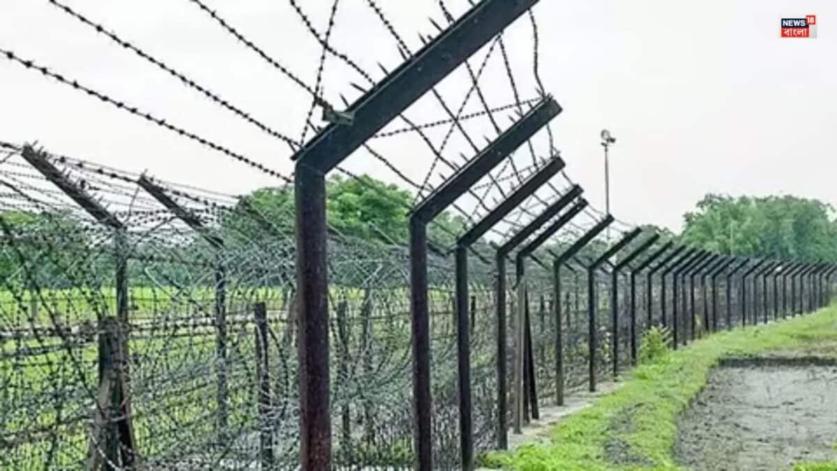 Bangla News: সীমান্তে নিরাপত্তা বাড়াতে বড় উদ্যোগ, রানিনগর-জলঙ্গিতে ...