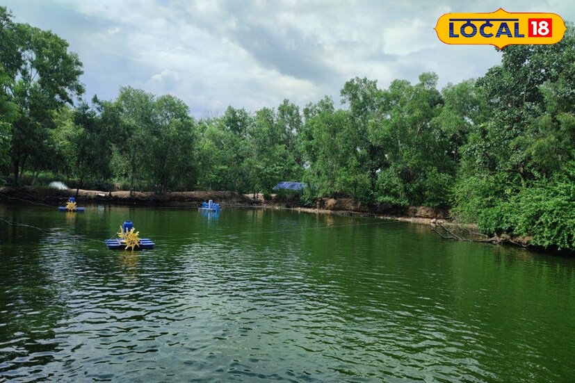 কোথাও হালকা, কোথাও ভারী... জেলায় জেলায় ঝড়বৃষ্টির সতর্কতা, মুহূর্তে ...