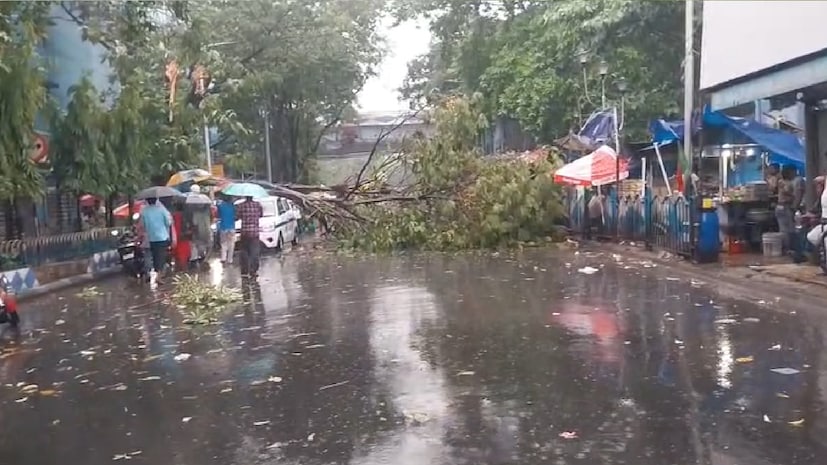 Kalbaisakhi in Kolkata আচমকা ঝড়ের তাণ্ডবে গাছ উপড়ে বিপত্তি তিলোত্তমার ...