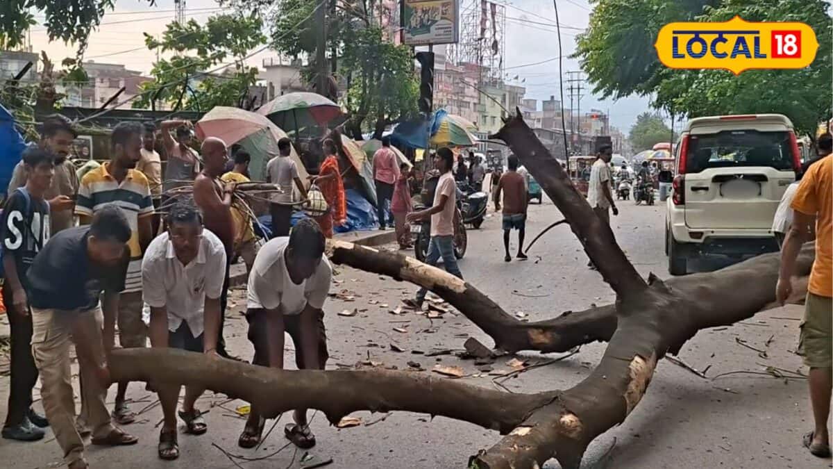Siliguri Storm Damage Today: ১৫ মিনিটের ঝড়ের তাণ্ডবে তছনছ শিলিগুড়ি ...