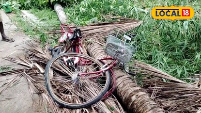 South 24 Parganas News: ঝড়ের মধ্যে বাড়ি ফেরার সময় ভেঙে পড়ল নারকেল ...
