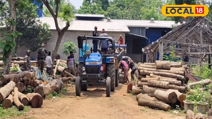 Bankura News: একেবারে হাতেনাতে পাকড়াও, বনদফতরের অভিযানে অবৈধ কারবারের ...