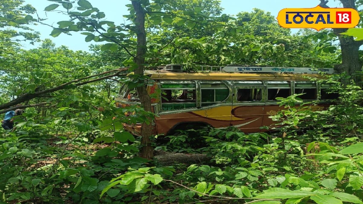 Bankura News: নিয়ন্ত্রণ হারিয়ে ঝোপের ভেতর বাস, গাছ হয়ে উঠল যাত্রীদের ...