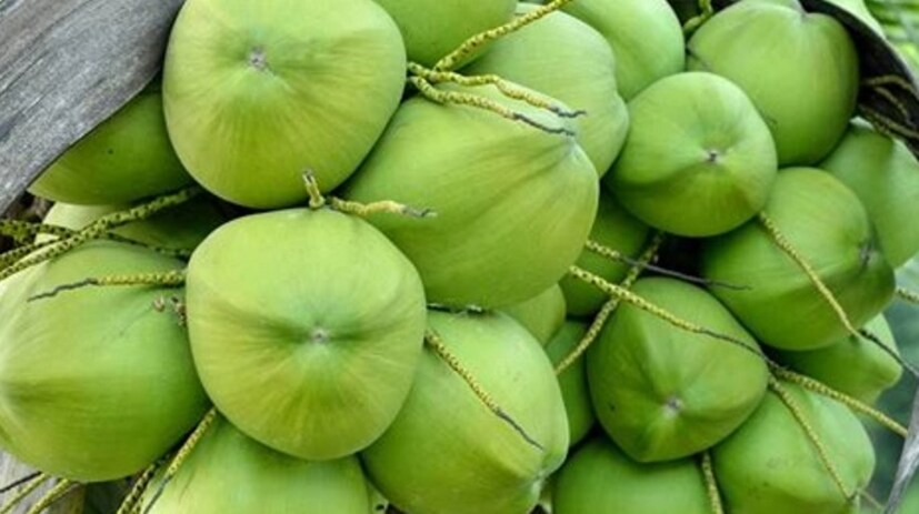 Coconut Water: কোন ডাবের জল মিষ্টি হবে, থাকবেও বেশি? বুঝতে এই সহজ ...
