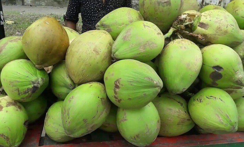 Coconut Water: কোন ডাবের জল মিষ্টি হবে, থাকবেও বেশি? বুঝতে এই সহজ ...