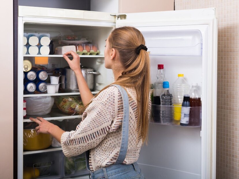 Fridge Hacks: ফ্রিজের ভেতর জাস্ট এক বাটি নুন রেখে দেখুন! চমৎকার এই ...