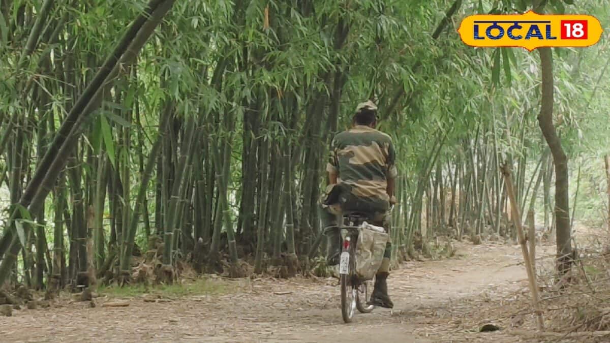 Jalpaiguri News: কাঁটাতারের বেড়া দিতে আইনি জট, কাজের গতি কমিয়ে দিচ্ছে ...