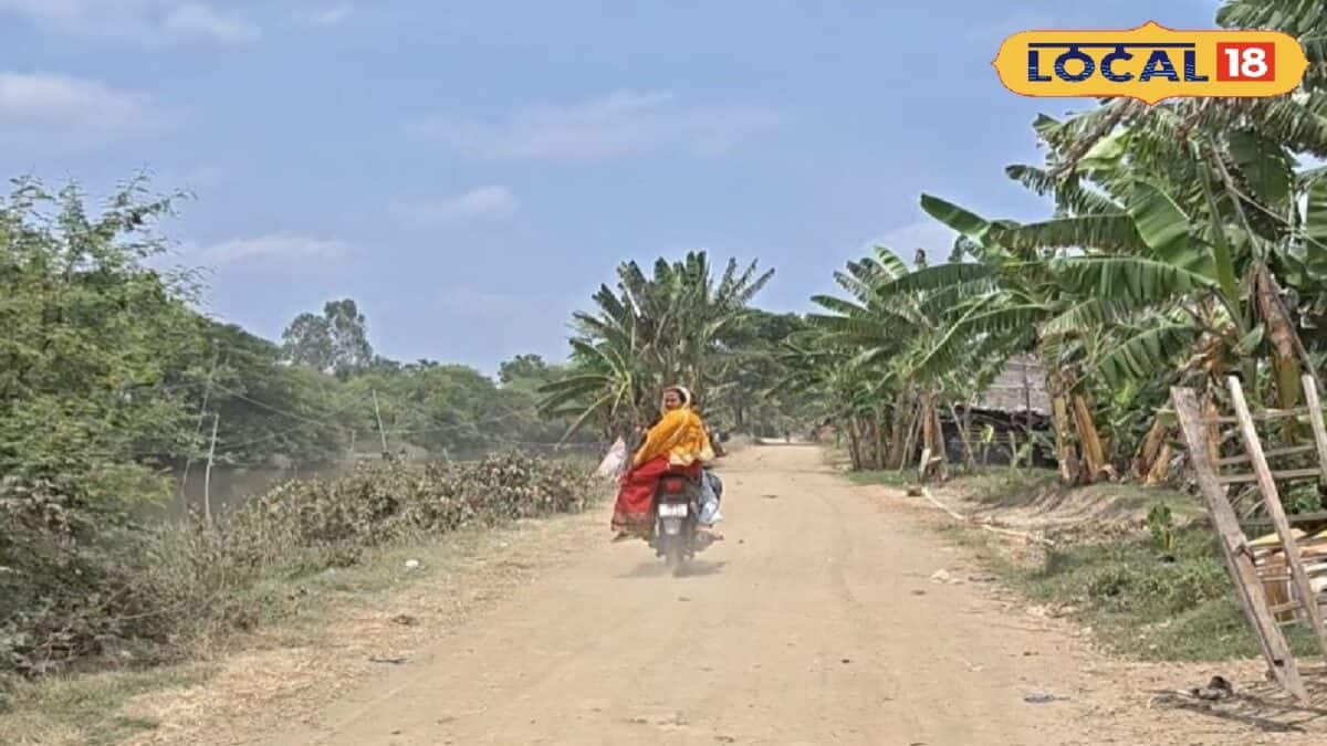North 24 Parganas News: ধুলোর চাদরে ঢেকেছে পিচের রাস্তা, বাড়ছে বড়সড় ...