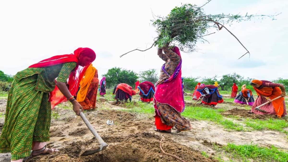 ১০০ দিনের কাজে জব কার্ড হোল্ডারদের ‘ফেস অথেনটিকেশন’ বাধ্যতামূলক ...