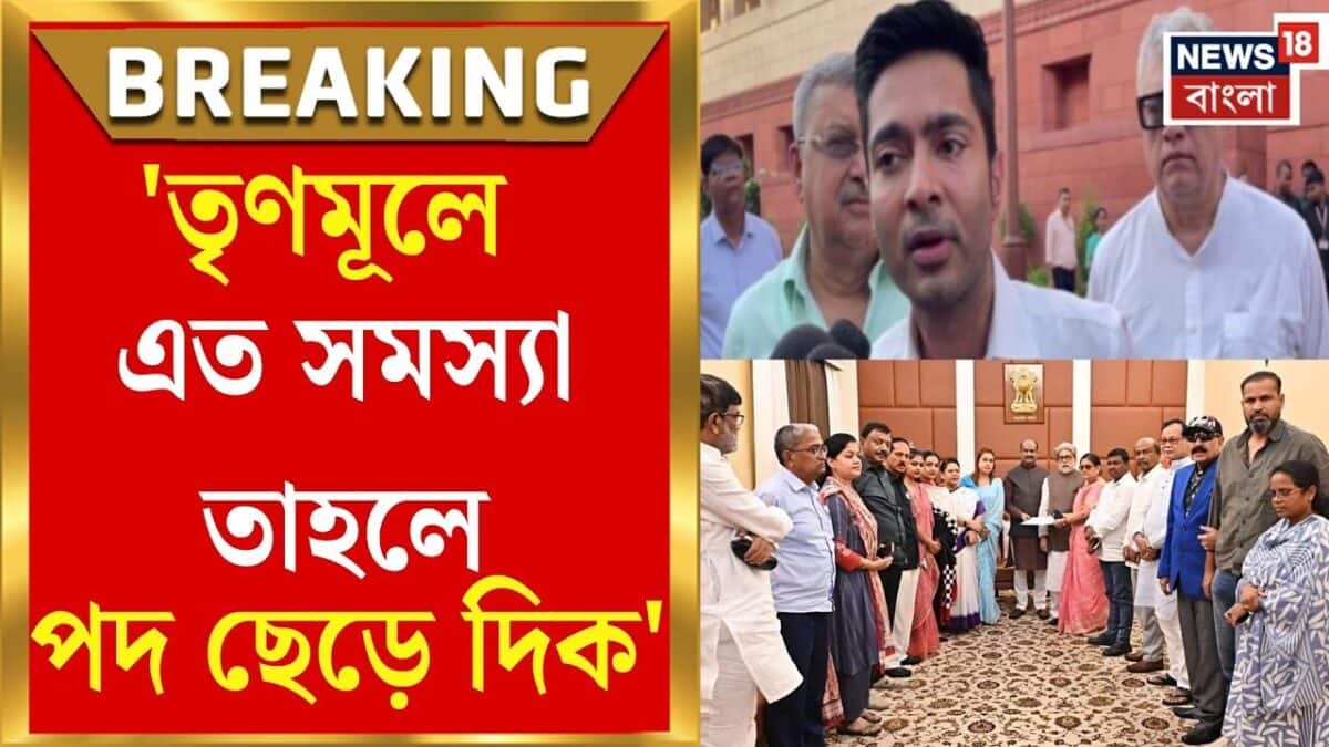 Abhishek Banerjee | 'কাউকে ED থেকে বাঁচতে হবে,কাউকে CBI থেকে বাঁচাতে ...