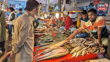Jamaisasthi 2026 Fish Market Price: জমজমাট জামাইষষ্ঠীর মাছ বাজার! ইলিশ ...