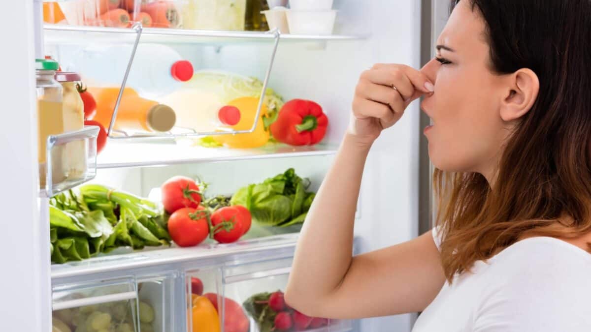 Fridge Smell Removal Tips: ফ্রিজ খুললেই বোঁটকা বিচ্ছিরি গন্ধ? মিনিটে ...
