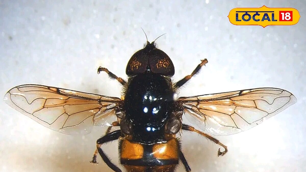 New Discovery: তিন বাঙালি বিজ্ঞানীর অসামান্য কীর্তি, গাঙ্গেয় সমভূমি ...