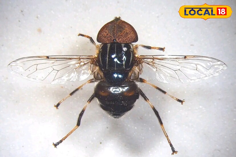 New Discovery: তিন বাঙালি বিজ্ঞানীর অসামান্য কীর্তি, গাঙ্গেয় সমভূমি ...