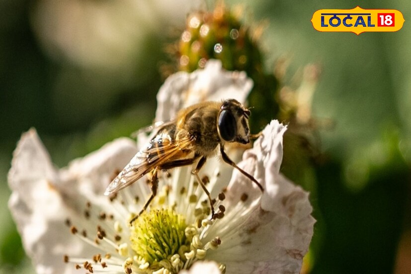 New Discovery: তিন বাঙালি বিজ্ঞানীর অসামান্য কীর্তি, গাঙ্গেয় সমভূমি ...