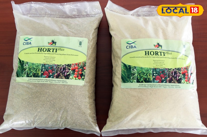 Fish Waste Organic Fertilizer: মাছের নাড়িভুঁড়ি-আঁশ আর ফেলে দেওয়ার ...