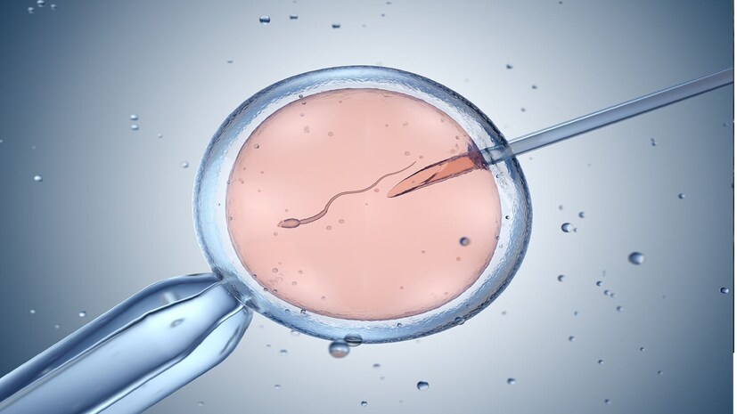 IVF: আইভিএফ মানেই কি সাফল্য? পদ্ধতি শুরু করার আগে কোন বিষয়গুলো ১০ বার ...
