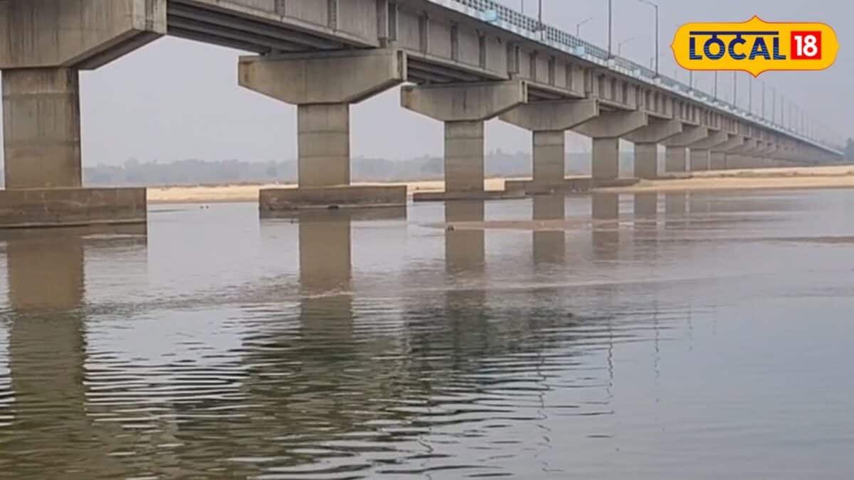 Jangalkanya Setu: সুবর্ণরেখার বুকে ‘জঙ্গলকন্যা’! জঙ্গলমহলের লাইফলাইন এই ...