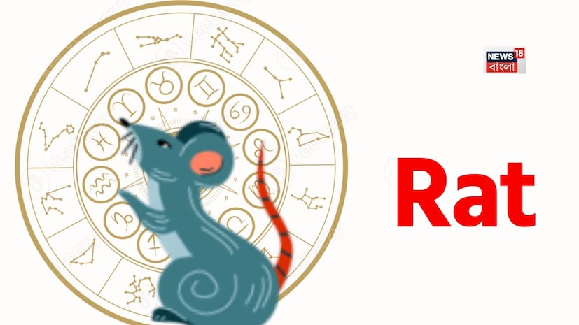 Chinese Horoscope Today: চাইনিজ রাশিফল ১৩ জুন, ২০২৬: দেখে নিন আপনার ...