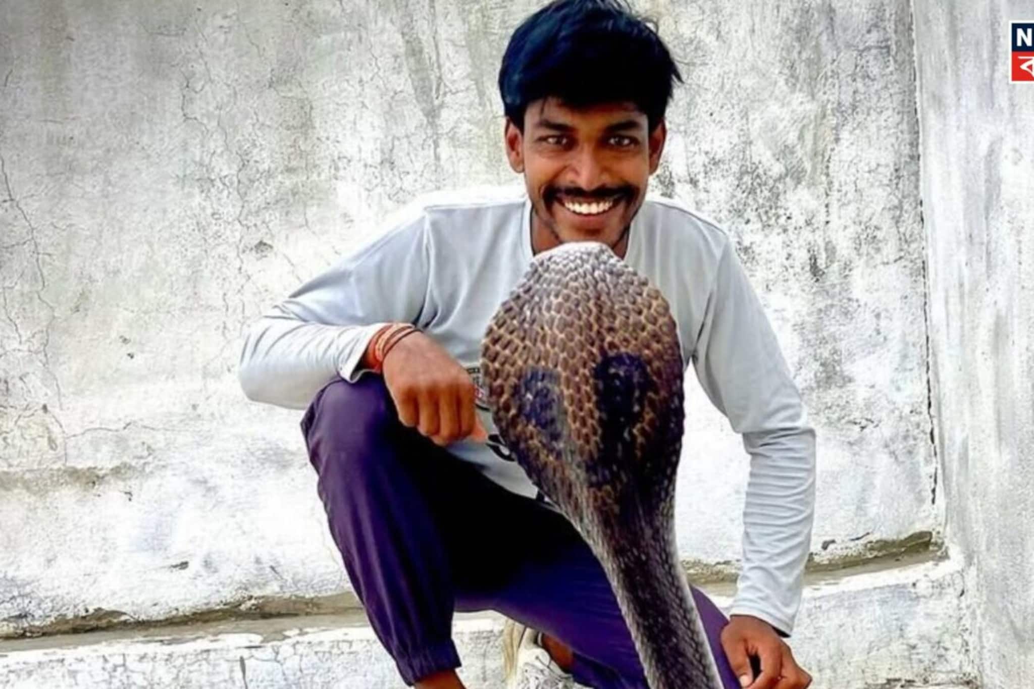 Snake News News In Bangla: Snake News Latest News, Snake News News ...